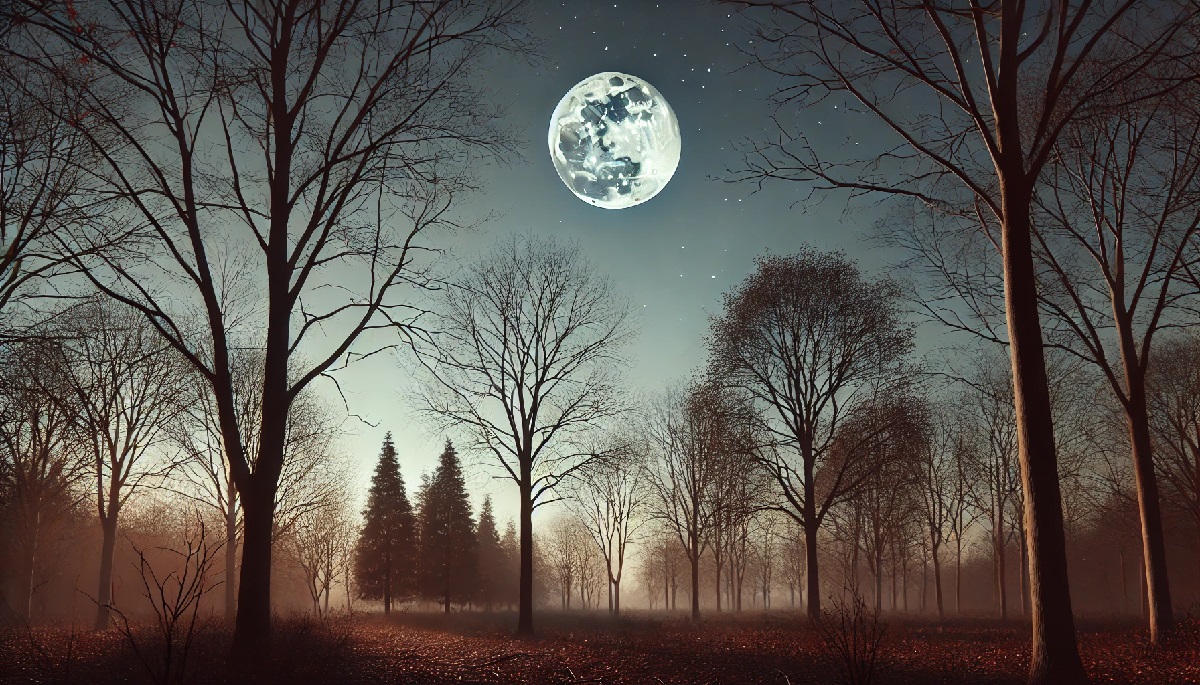 Don't Miss the Full Moon Supermoon November 14, 2024 - International ...
